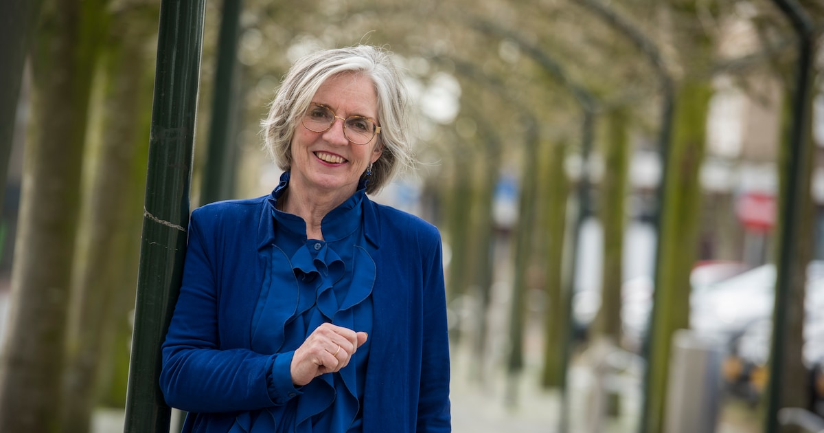 Ervaring en goed kunnen luisteren: dat wil Reusel van nieuwe ...