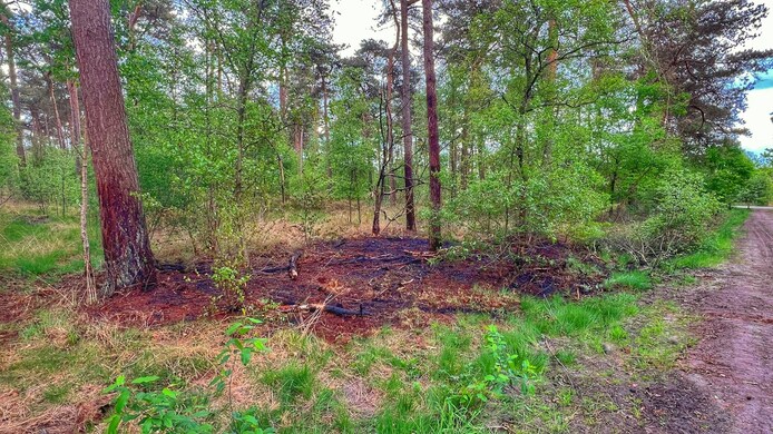 Twee branden in bos en kapotte waterput in Hooge Mierde | 112 nieuws ...