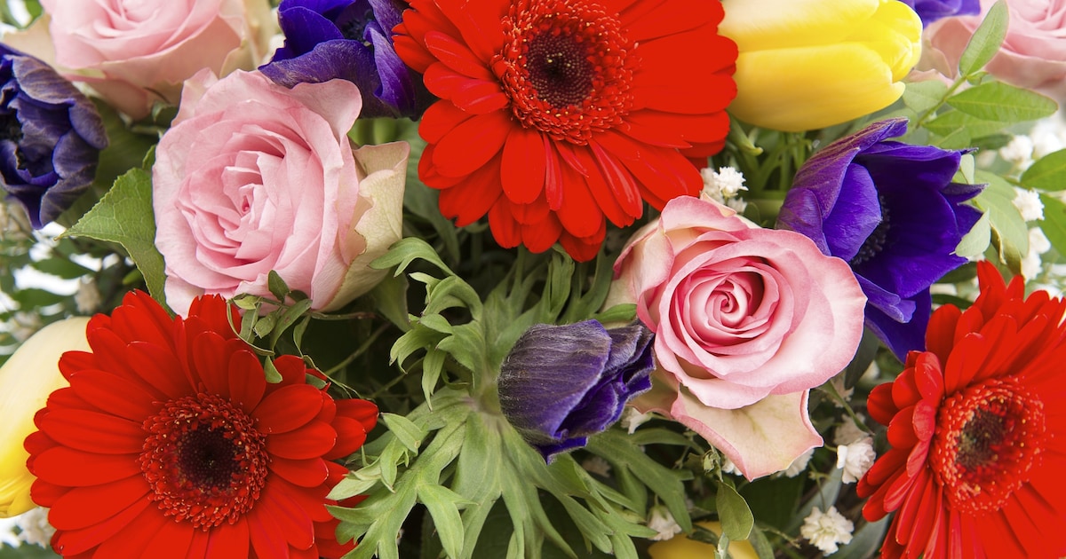 Wie wordt de Opperman van Westerhoven dit jaar? | Bergeijk | ED.nl