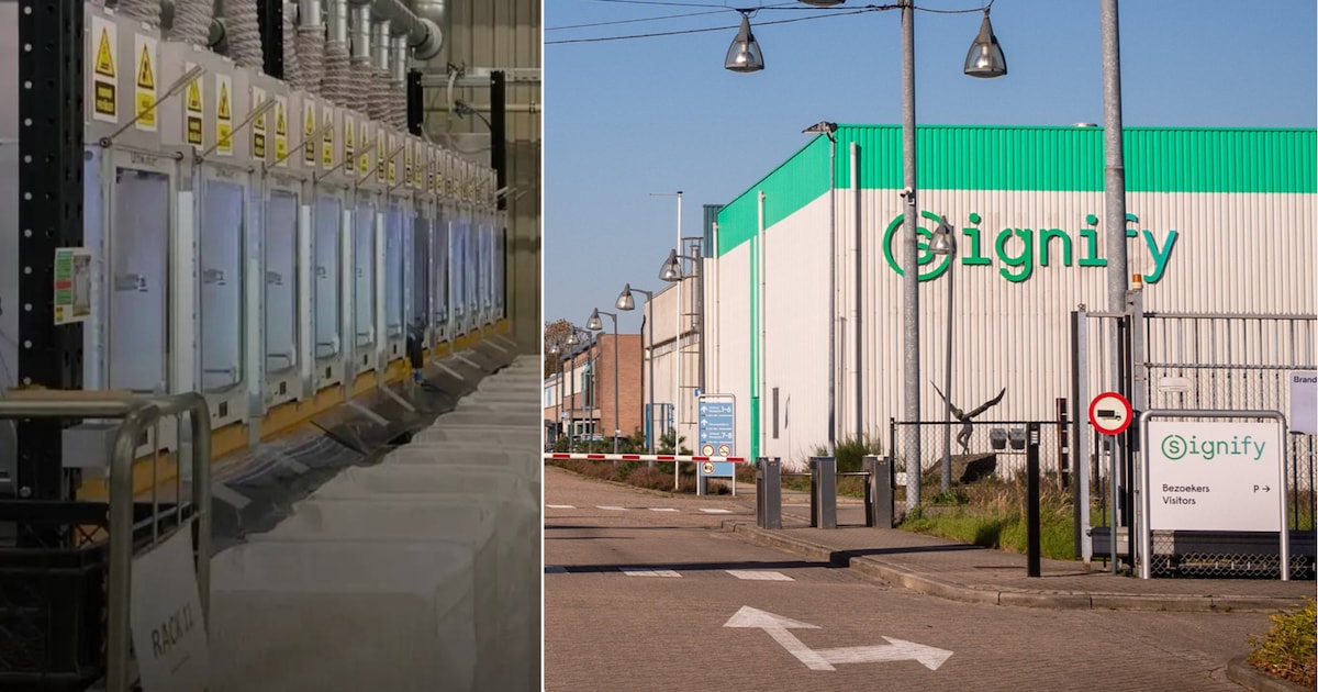 Personeel Signify Turnhout gelaten na weer ontslagronde: ‘Iedereen weet ...