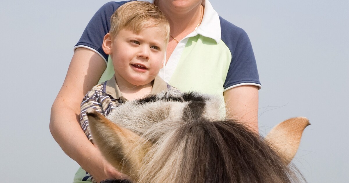 Geen geld en geen paarden meer; einde aan 33 jaar rijden voor ...