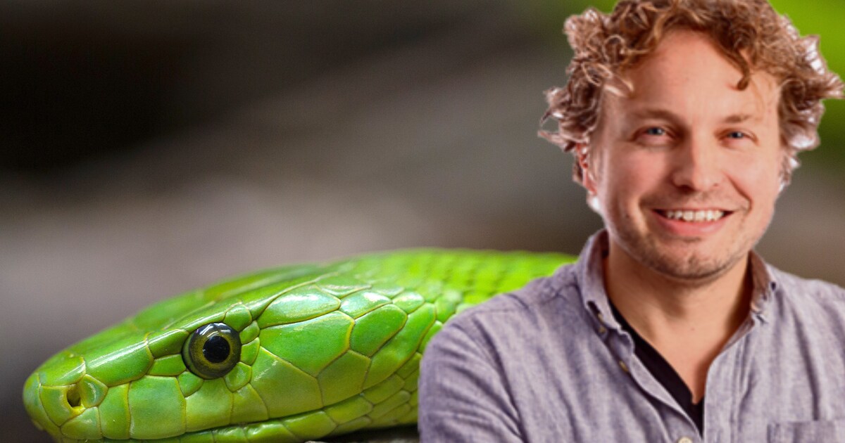 Zo’n glibberige killer mag je kennelijk in huis hebben | Opinie | ed.nl