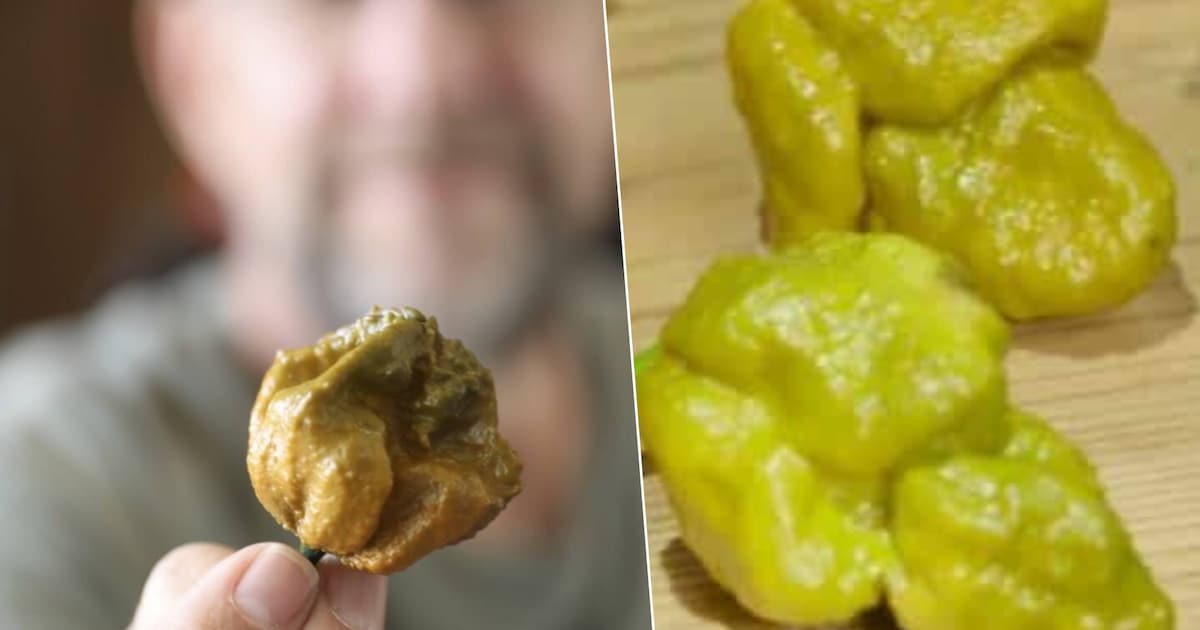 De Pepper X is vanaf nu de heetste peper ter wereld: ‘Een uur lang plat ...
