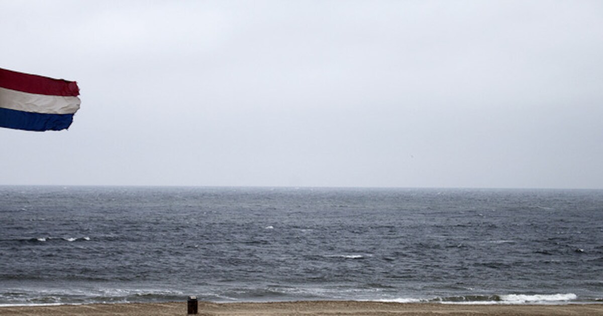 Aziatische schelp verovert Nederlandse kust | Nieuws | ed.nl
