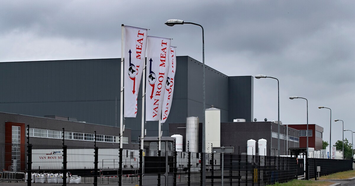 Sluiting slachterij Van Rooi Meat in Helmond zorgt voor onrust in de ...