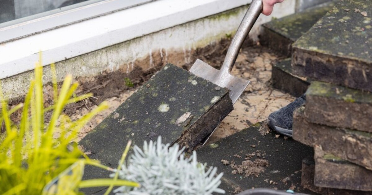 Tegeltaxi haalt gratis tegels op in Heeze-Leende | Heeze-Leende | ED.nl