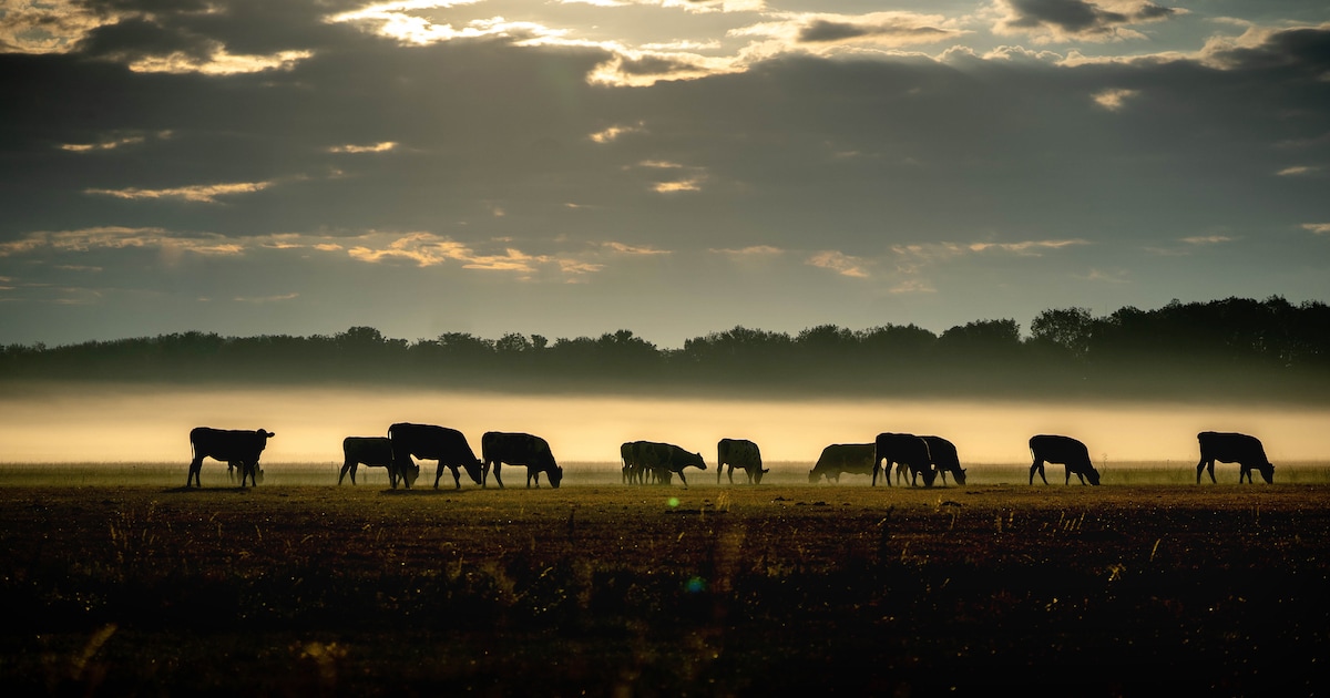 Duurzaam boeren krijgt steun in de rug; Provincie wil grond bij ...
