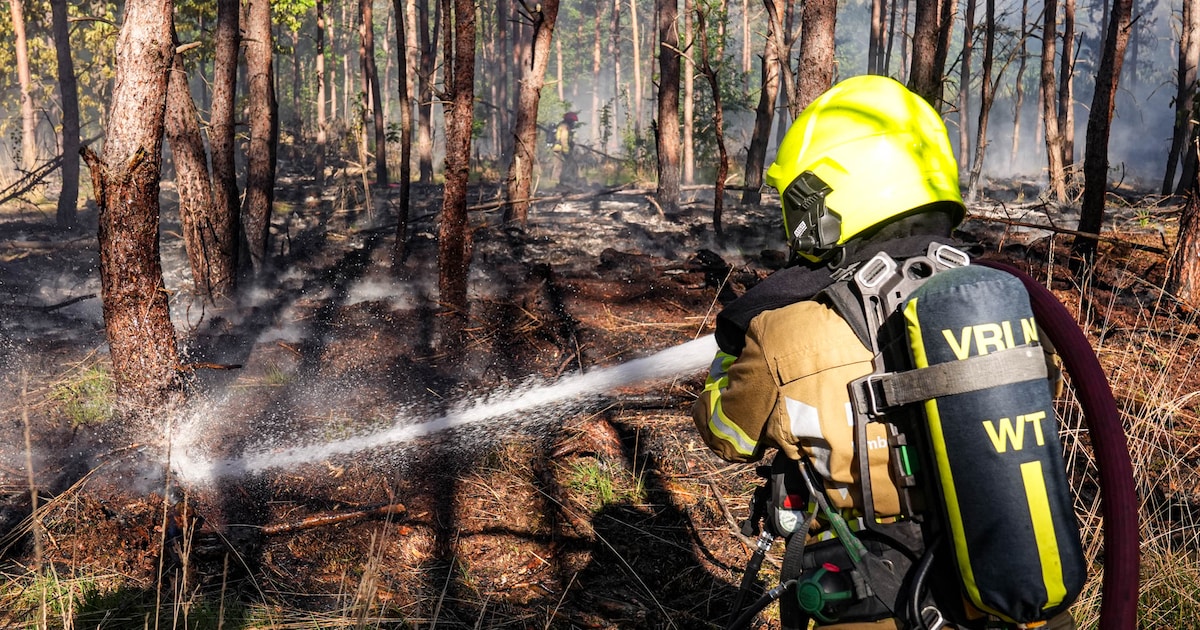 Na uren blussen is bosbrand bij Asten onder controle, flink gebied ...