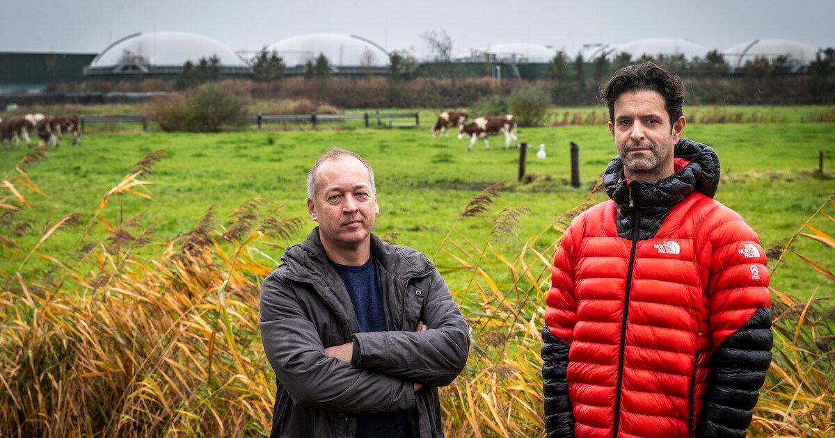Mening | Eindelijk een rechter die optreedt tegen stank; dag-in dag-uit ...