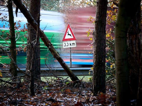 Sjaak uit Vlierden baalt van imitatie-vossenjachten: ‘Ree schrikt zich ...