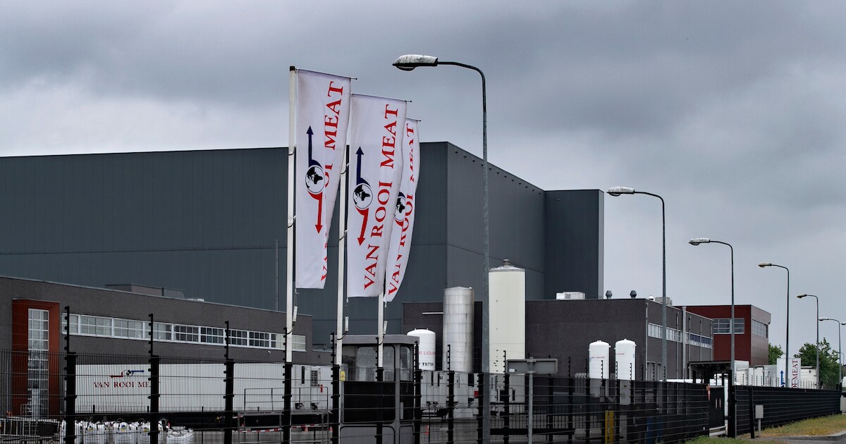 ‘Arm in machine was vooral eigen schuld’; Van Rooi vecht 27.000 euro ...