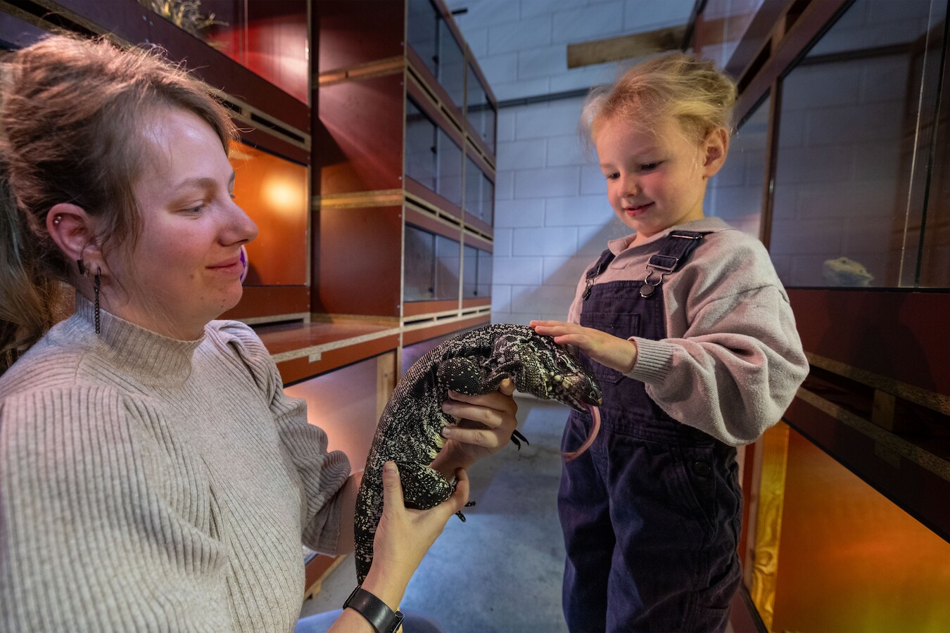 Karlijn heeft veertig reptielen in haar pand: ‘Ze zijn niet zo eng als ...