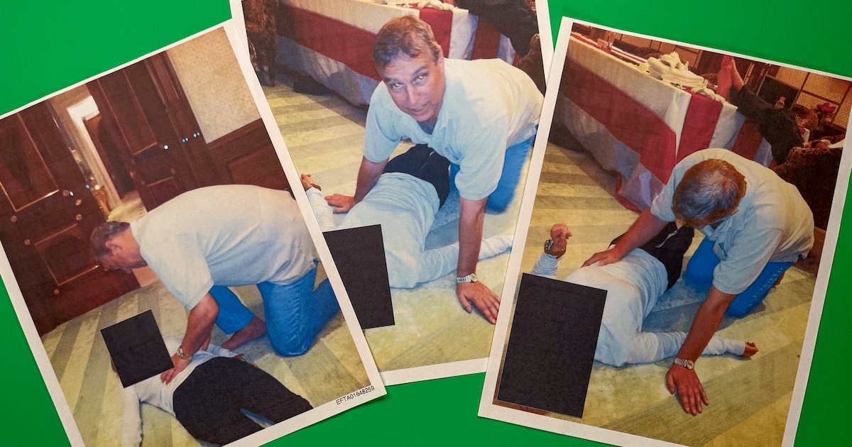 Dit weten we tot nu toe: Andrew gearresteerd vanwege Epstein-files ...