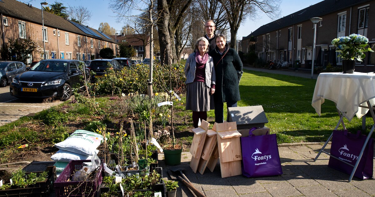 Limbeek-Zuid krijgt ‘slim groen’ dat past bij de buurt | Eindhoven | ED.nl