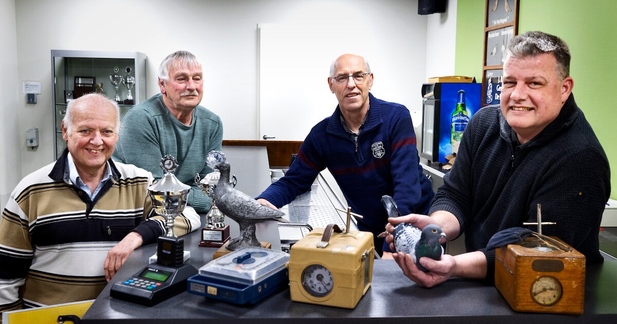 Bij Postduivenvereniging Gemert telt één ding zwaar: ‘Als die duif ...