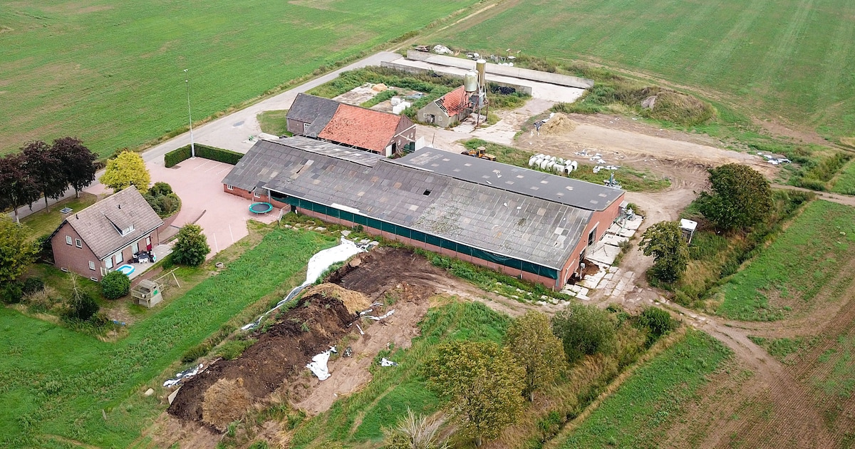 Kloof tussen Asten-Heusden en koeienboer steeds groter: ‘Mijn advies ...