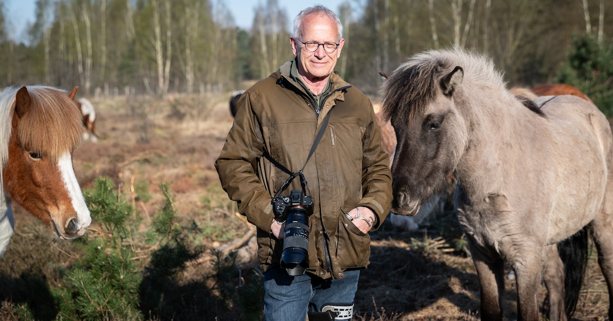 Erik is nog lang niet uitgekeken op het Leenderbos: ‘Ik maak foto’s om ...