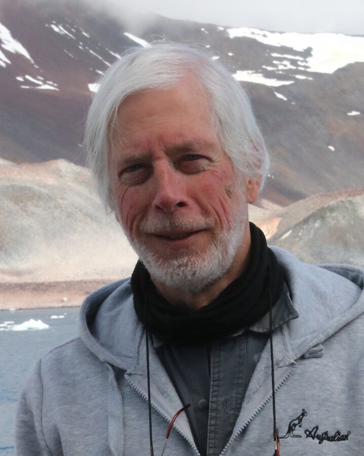 Als populaire jonge slechtvalk uit zijn nest valt, houden online ...