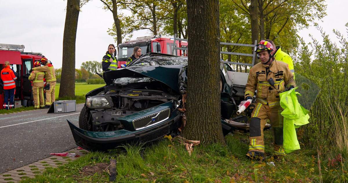 Auto met aanhangwagen klapt tegen boom in De Mortel, man (68) met spoed naar ziekenhuis | 112 ...