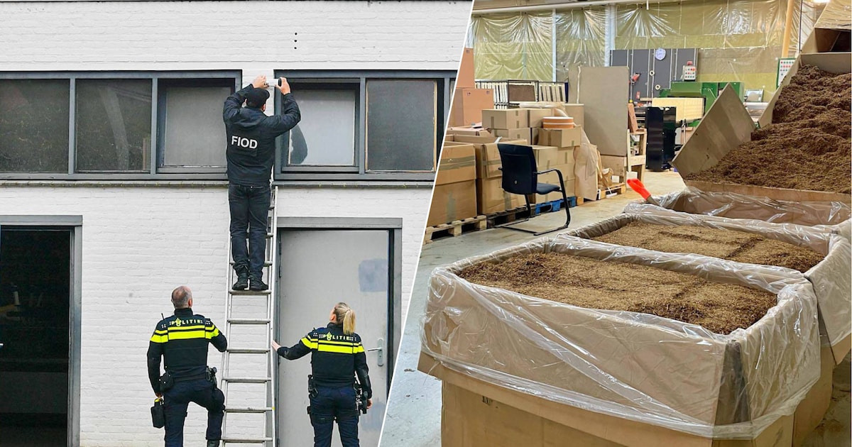 Rechter is meteen duidelijk: burgemeester Bladel mag pand van illegale ...