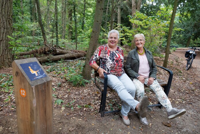 Bergeijk danste urenlang rondom de bevrijdingsboom die nu onderdeel is ...