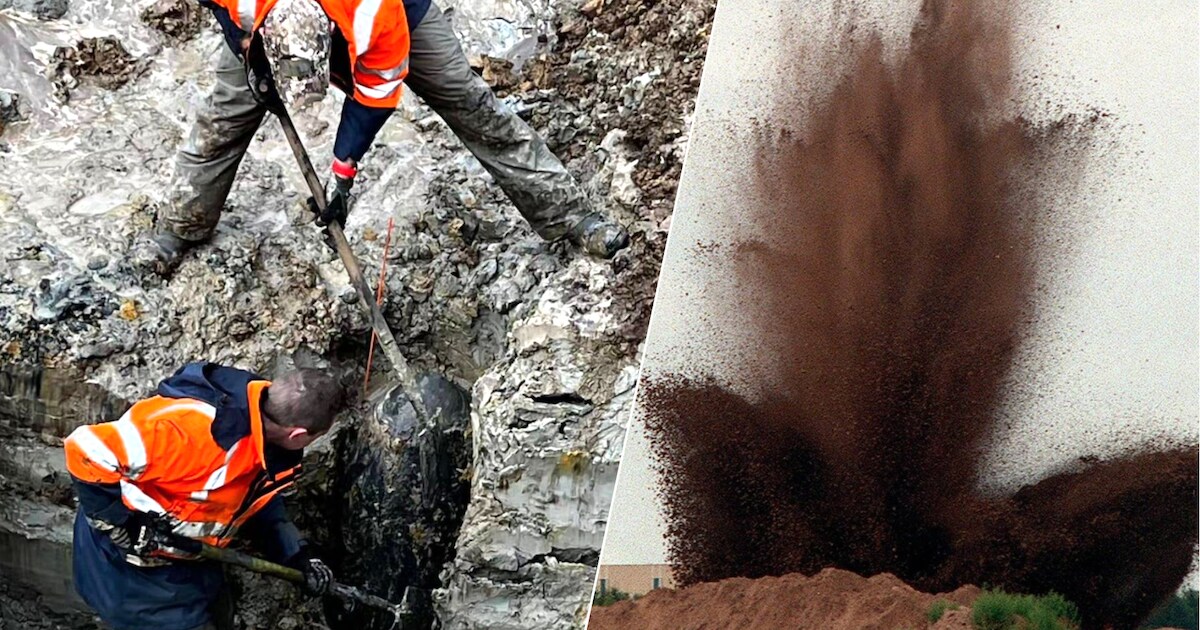 Op bommenjacht rond startbaan Eindhoven Airport: ‘Als je een aardbeving ...