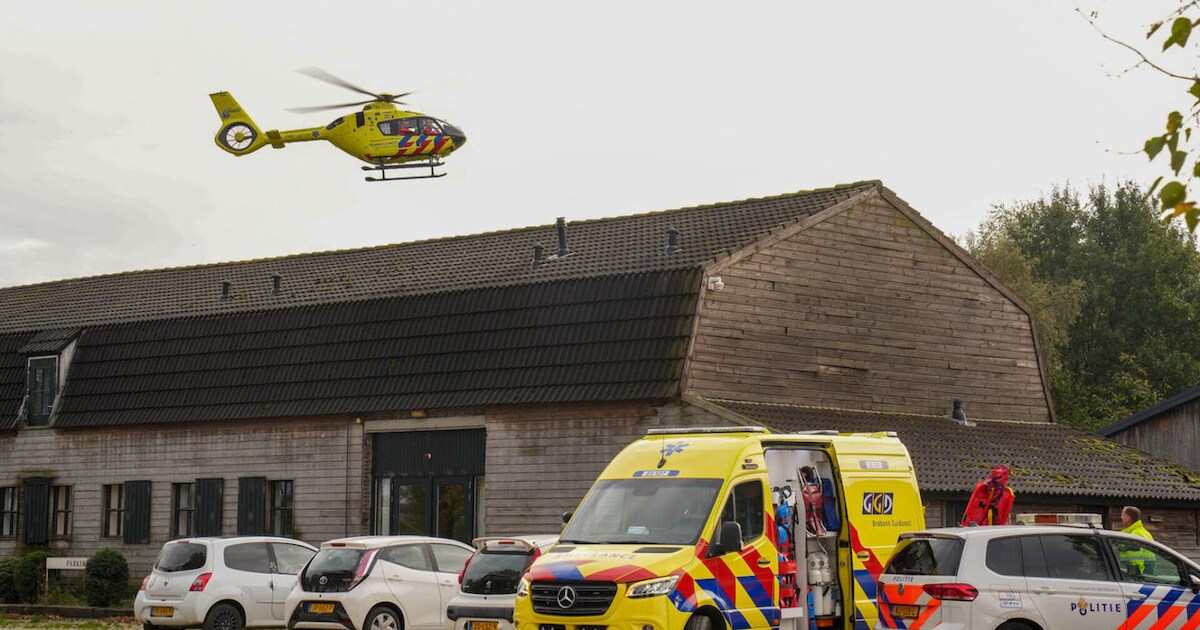 Ruiter gewond bij val van paard op manege in De Mortel | De Peel | ED.nl