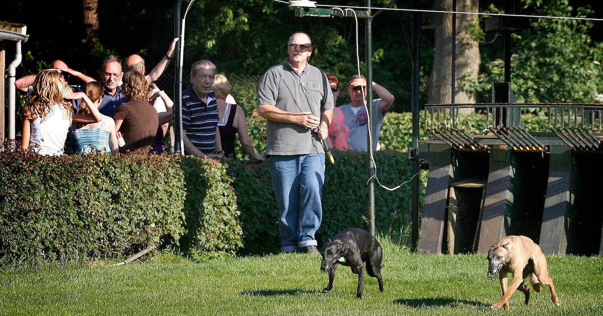Er dreigde geen hond op af te komen, dus gaat Sonse windhondenrace niet ...