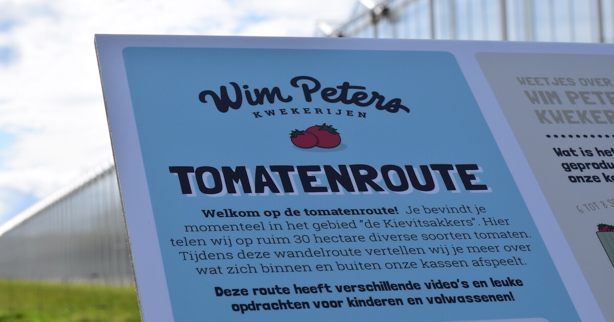 Wim Peters Kwekerijen presenteert Tomatenroute | Someren | ED.nl