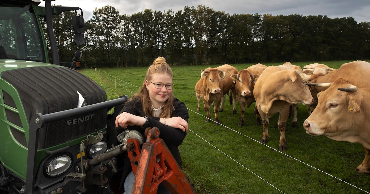 Boerin Veerle (18) uit Bergeijk weet op het land precies wat ze doet ...