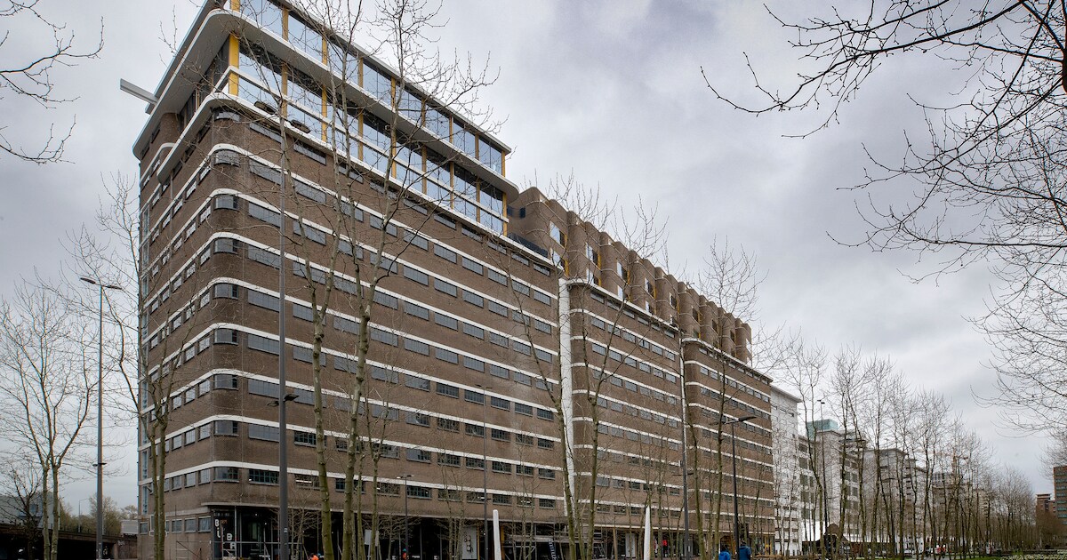 Mening | Eindhoven moet van 27 naar 37 inwoners per hectare; verdichten ...