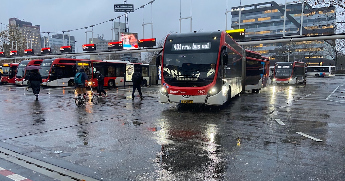 Met je neus in de oksel van een medepassagier, Eindhovense bussen ...