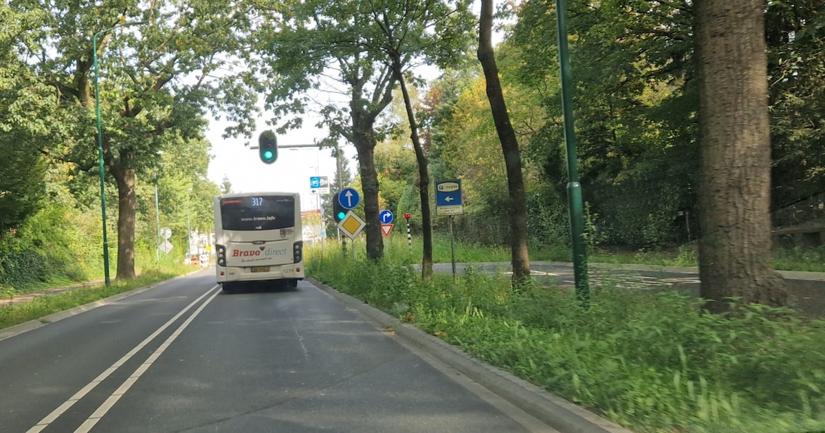 ‘Snellere’ busbaan blijkt juist langzamer: bus kiest daarom de normale ...