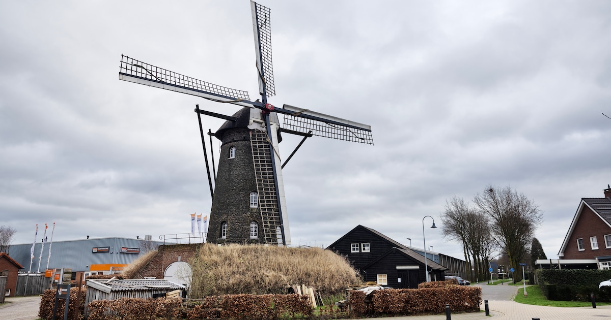 Eiken winnen (voorlopig) de strijd van de windmolen, de gemeente Deurne ...