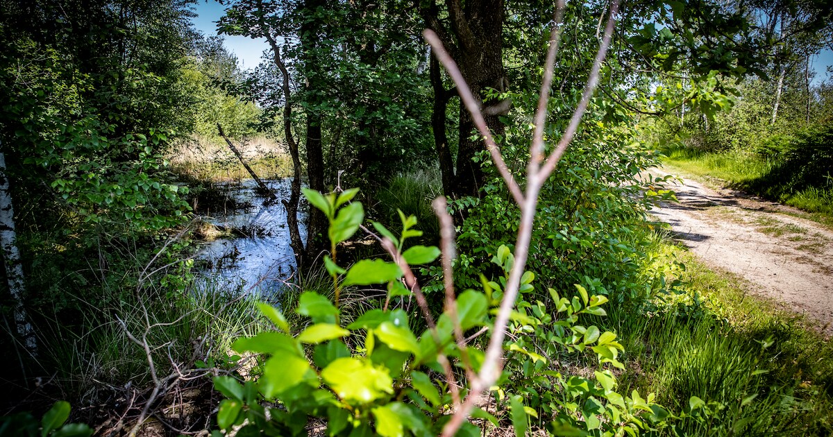 Nu al volop belangstelling voor subsidie om leven in De Peel te verbeteren | Helmond | ED.nl