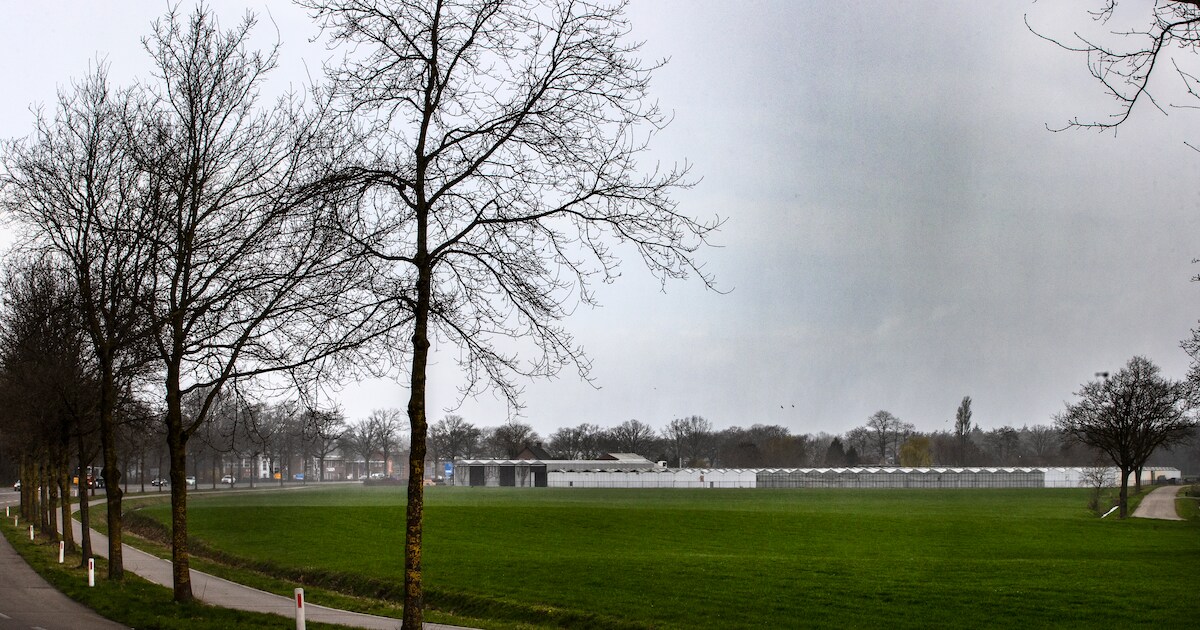 Straks meubelzaken maar nu eerst arbeidsmigranten aan rand Deurne, als ...