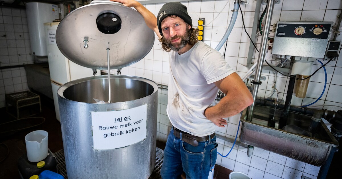 Aseksuele stier Mats brengt boer in de problemen, nu moet hij zelfs ...