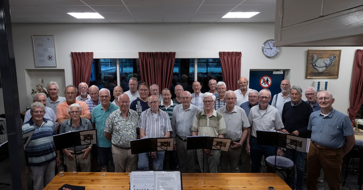 Zilveren jubileum Dommelklanken wordt gevierd met festival | Regio | ED.nl