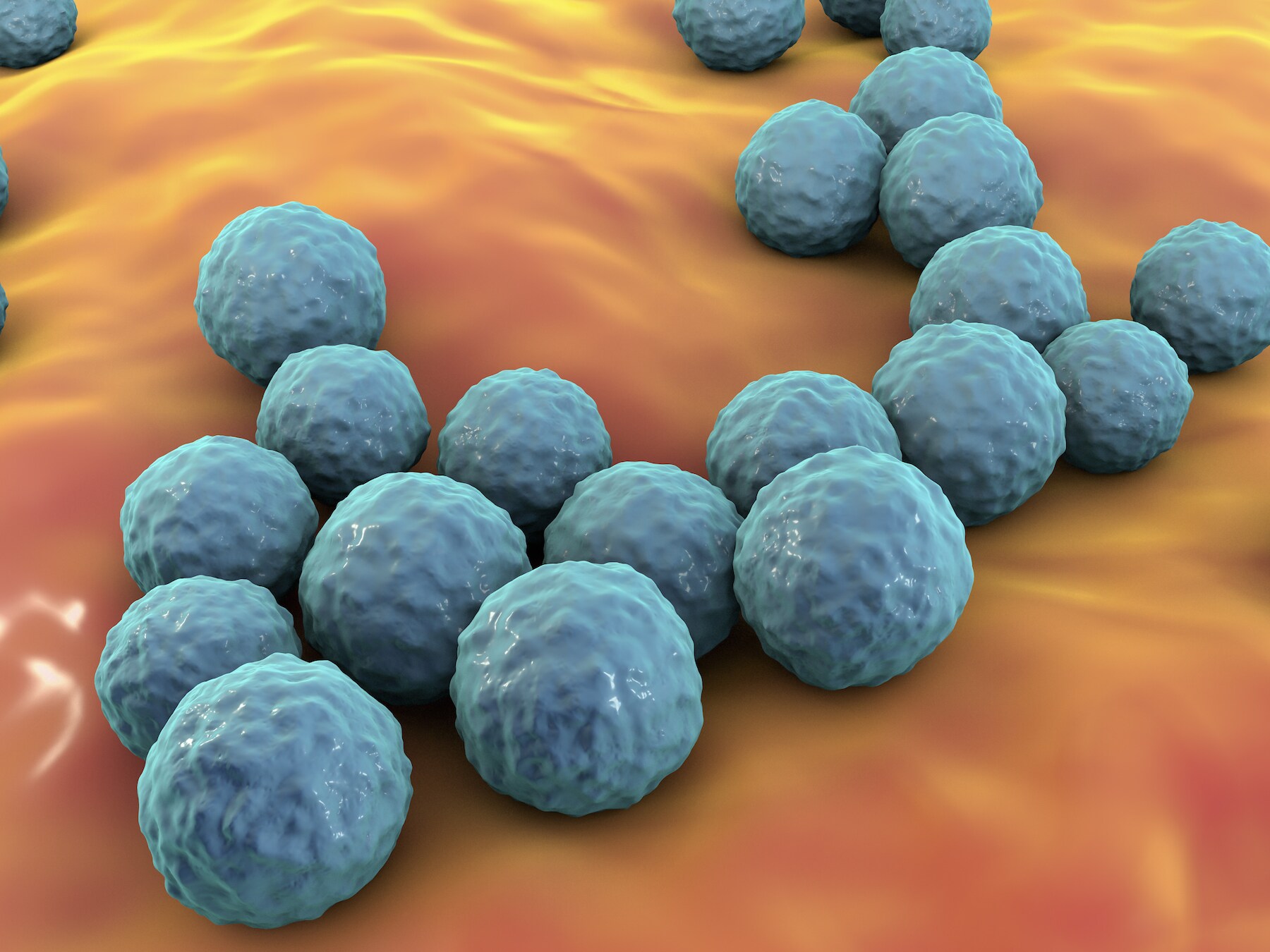 GGD-onderzoek: Brabanders bekend met resistente bacteriën | Eindhoven ...
