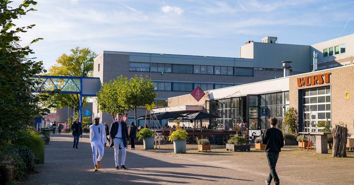 Zo’n 1300 woningen en mogelijk een nieuw treinstation: Sectie-C in ...