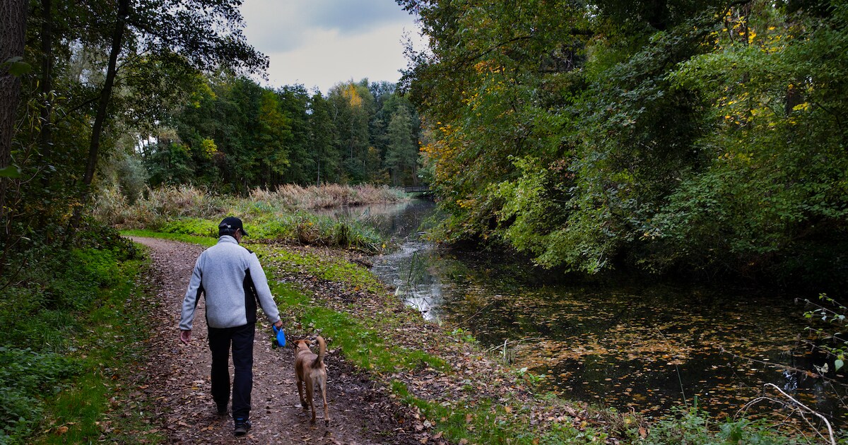Gemeente Laarbeek wil water in droog natuurpark, omwonenden roepen om ...