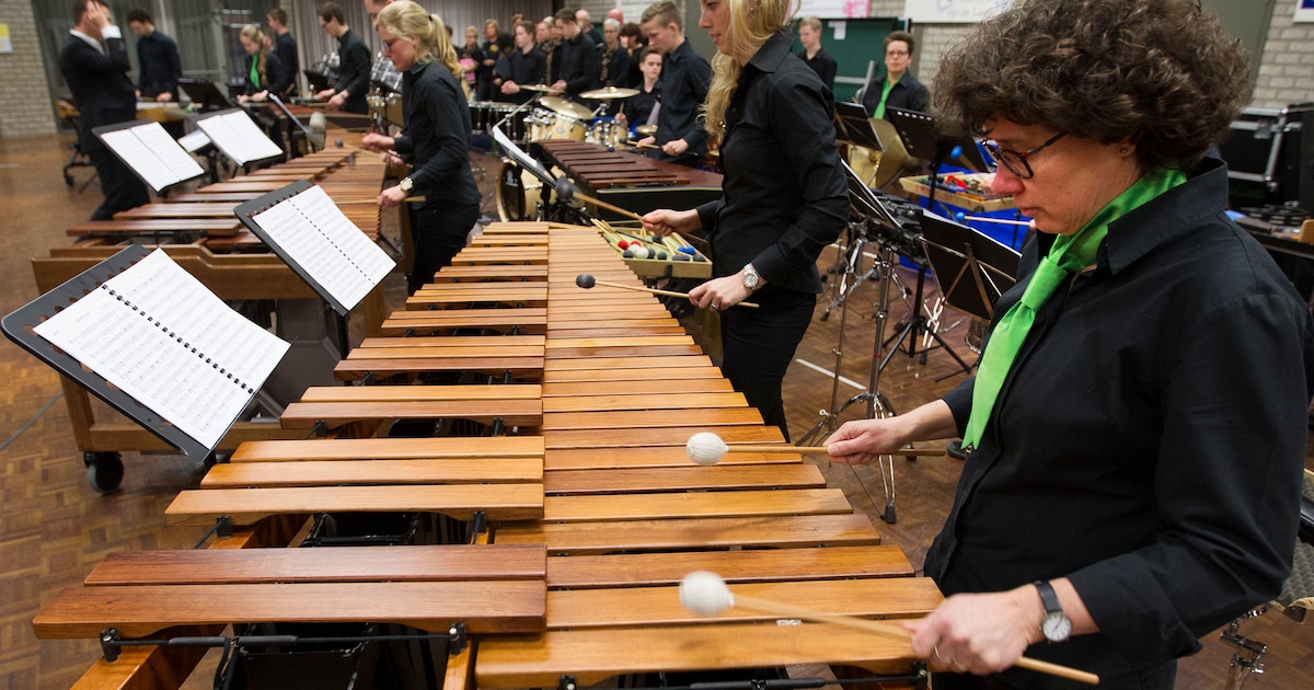 Nieuwe editie Percussion in Theatre in Budel | Cranendonck | ED.nl