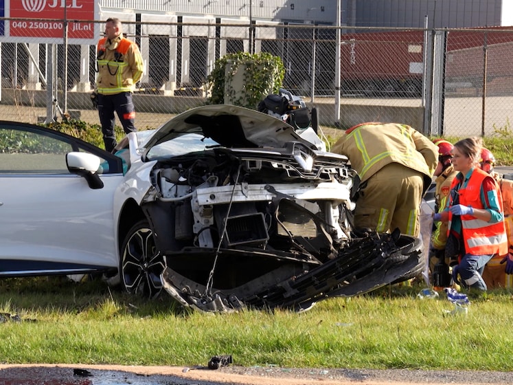 AAE Helmond: 'Ons bedrijf bloeit in de geest van William' | Economie ...