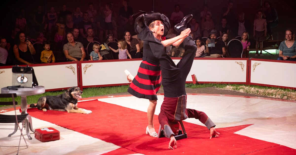 Stroomstoring mag de pret niet drukken: 250 bezoekers genieten van knus ...