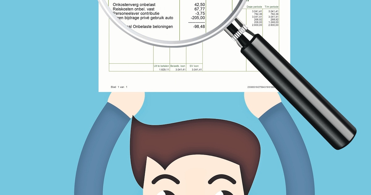Het nieuwe loonstrookje: blij met een dooie mus? | Eindhoven | ED.nl