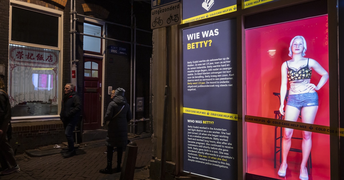 Twee nieuwe dna-matches gevonden in cold case rond moord op sekswerker ...