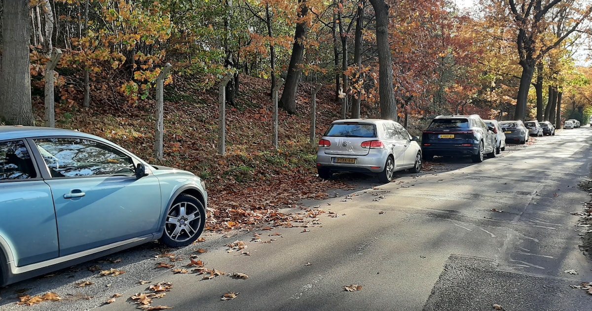 Foutparkeren zonder bon steeds moeilijker rond Eindhoven Airport, maar ...