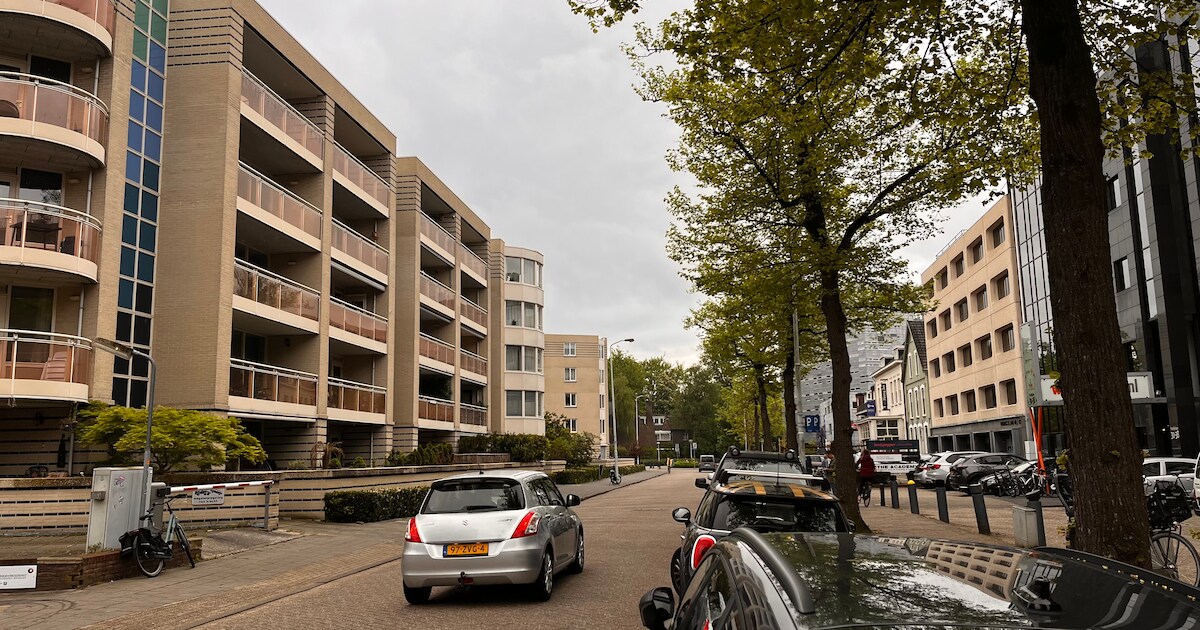 Half jaar experiment met afsluiten bruggen over Dommel in wijk De ...