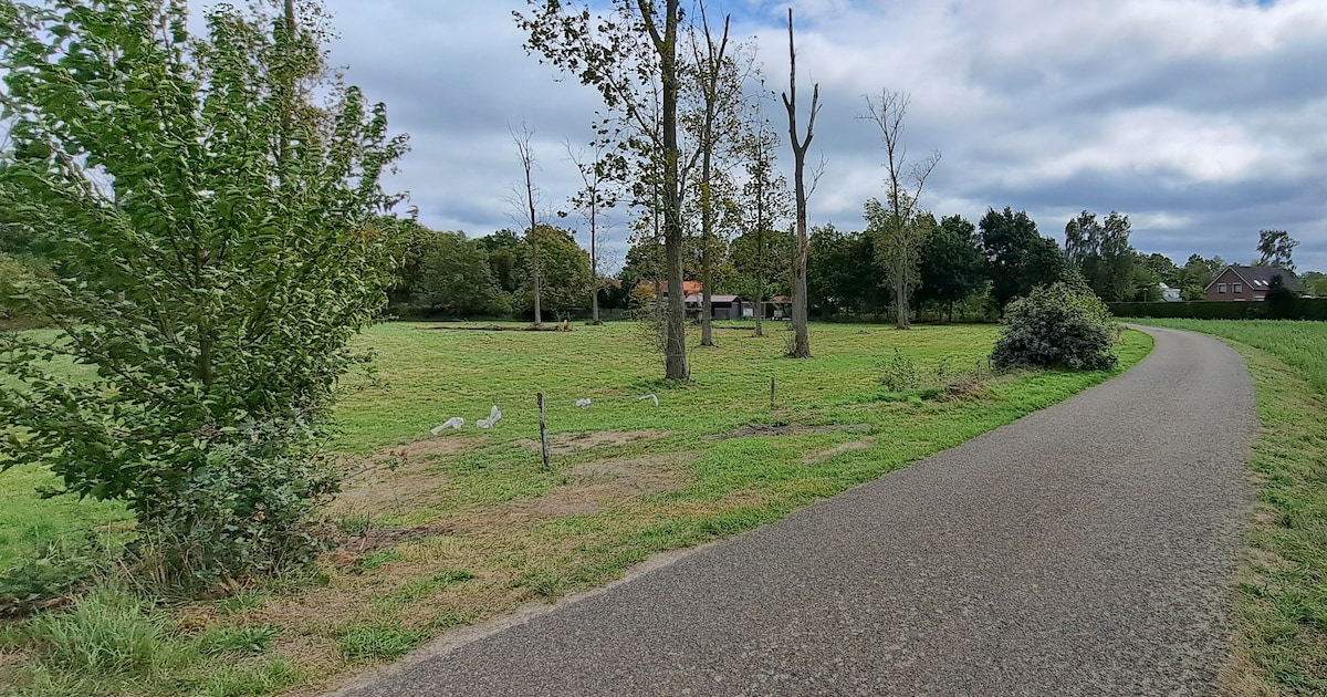 Bewoners van Nuenen-Eeneind zien nieuw wijkje nu meer zitten dan ...