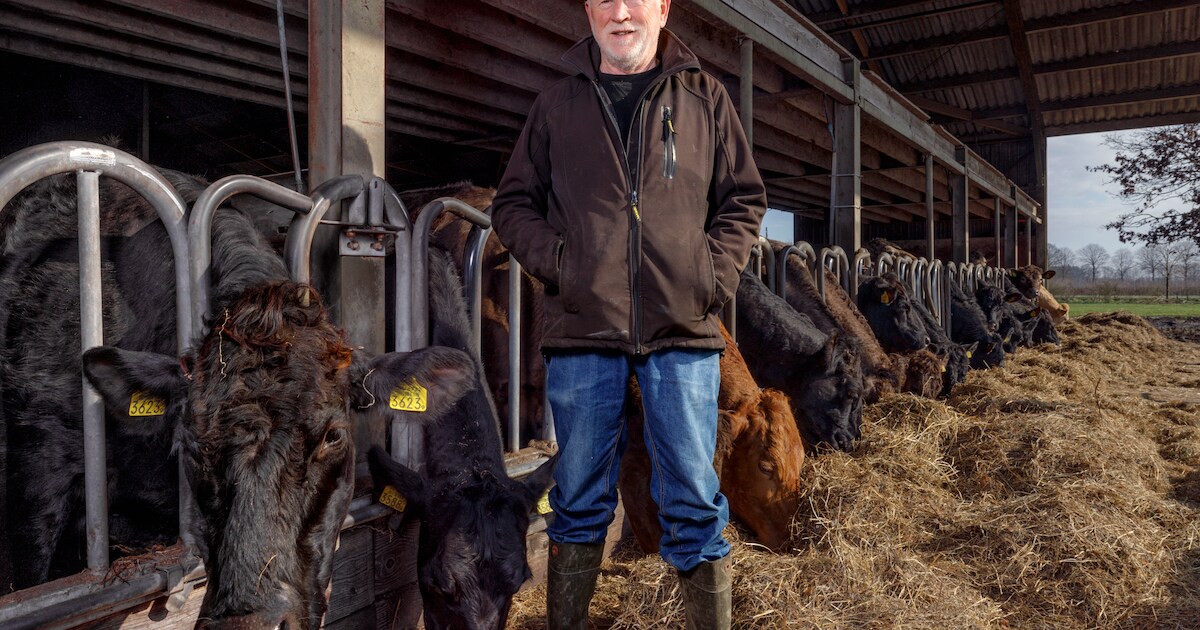 Die eigenzinnige boeren hadden toen niet door dat het zo snel zou lopen ...